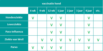 Diergeneeskundig Centrum Twente